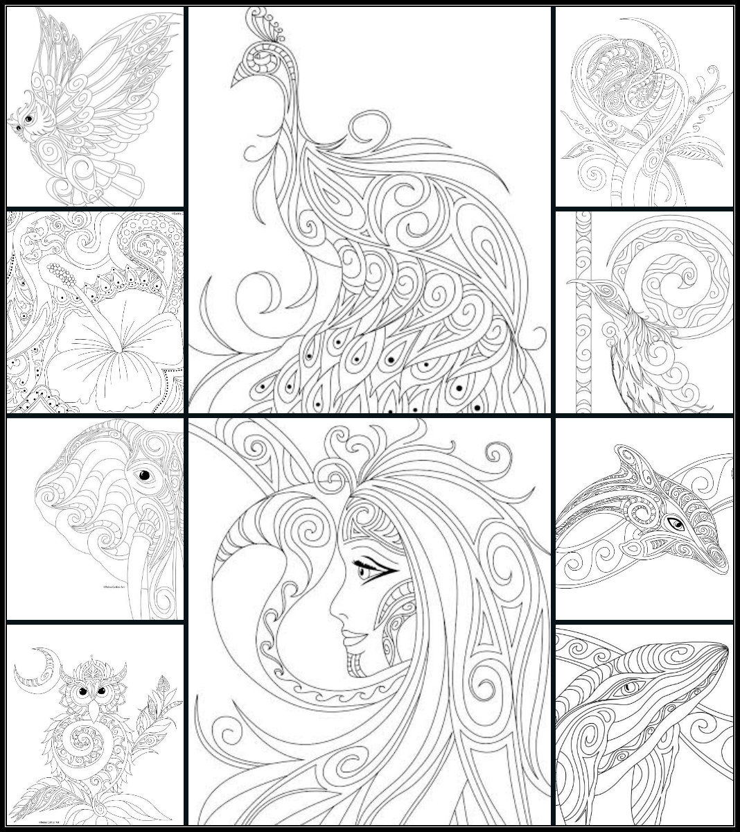 collage of colouring pages Reina Cottier Art – Reina Cottier Art